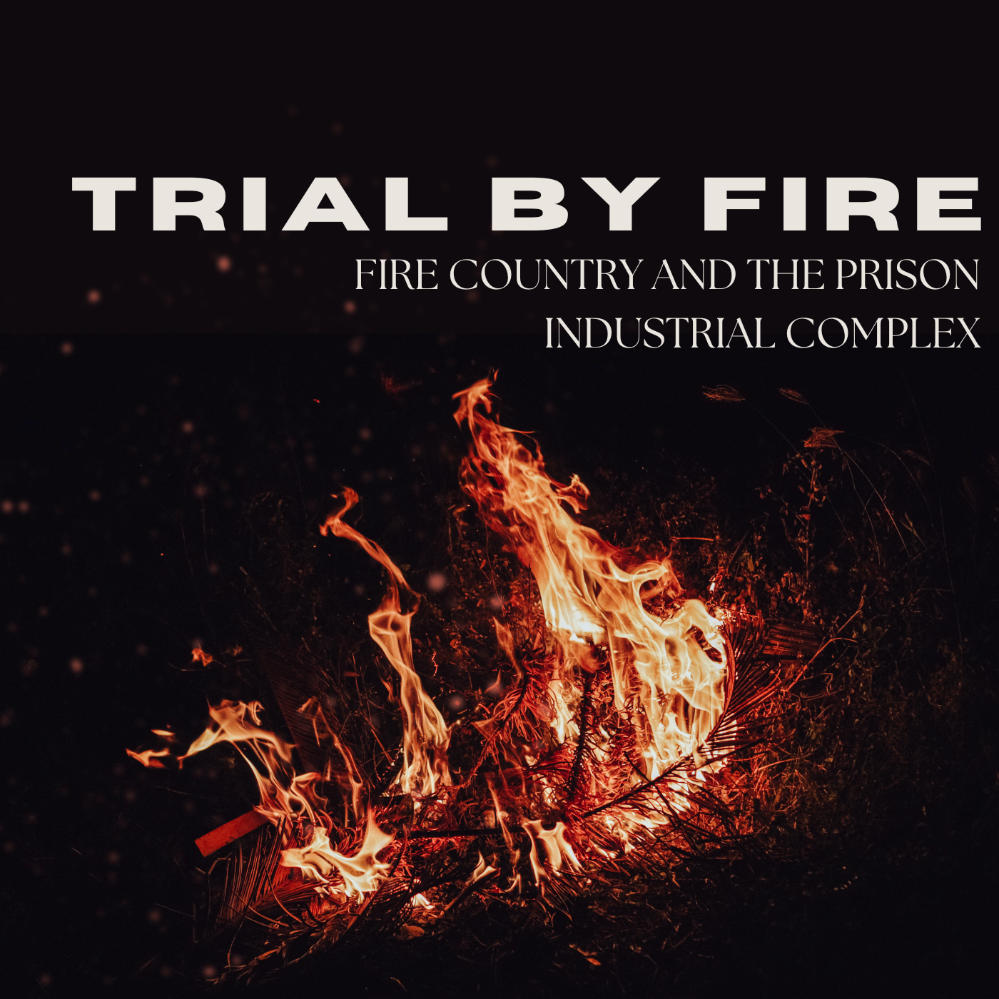 Trial by Fire: Fire Country and the Prison Industrial Complex – Rebecca ...